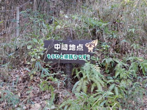 岡山市北区京山京山ソーラーグリーンパーク登山道2020年10月訪問 Mうらともブログ