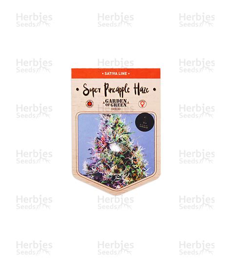 Super Pineapple Haze Seeds Cannabis Strain Seeds For Sale