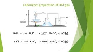 Th Std HCl Pptx Class Icse Geography PPTX