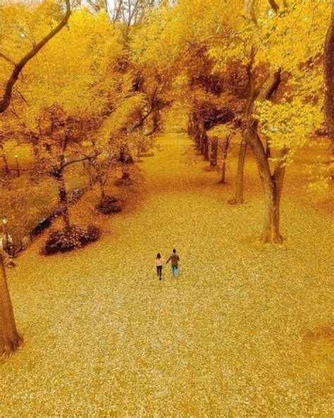 نوشته و عکس پروفایل عاشقانه پاییز متن و عکس پاییزی برای همسر