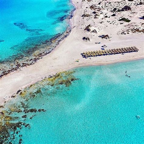 Σύλλογος Επιστημόνων Ελαφονήσου ΑΓΩΝΑΣ ΓΙΑ ΖΩΗ ΣΤΗ ΝΥΦΗ ΤΟΥ ΛΑΚΩΝΙΚΟΥ Adelinfm Blogspot G