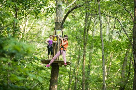 Go Ape Treetop Adventure Images Go Ape Media