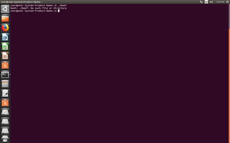 I Can T Execute Beef Issue Beefproject Beef GitHub