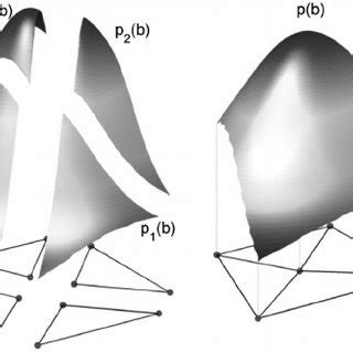 Principle Of The Multivariate Simplex Spline A 5th Degree Spline Download Scientific Diagram