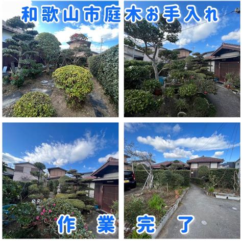 和歌山市庭木お手入れ 和歌山便利屋助さん 和歌山便利屋助さん お仕事日記