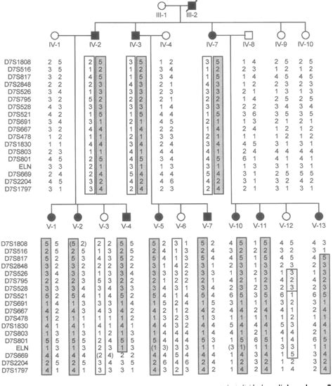 Ulnar Polydactyly Of Fingers Semantic Scholar