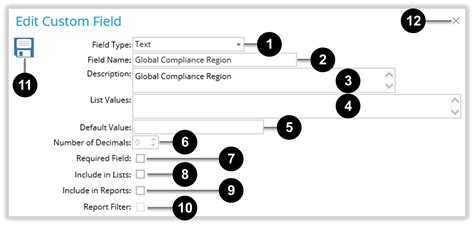 the edit custom field popup window
