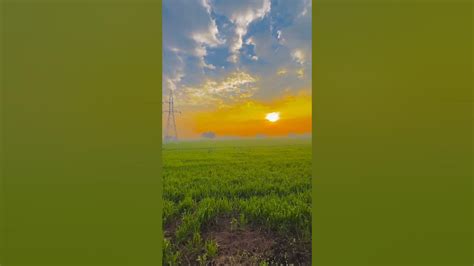 Jamidar Song Youtube