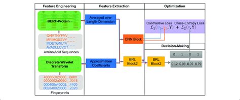 Flowchart Of The Dti Bert Model Download Scientific Diagram