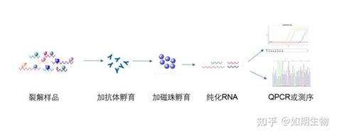 Rip 实验服务 知乎