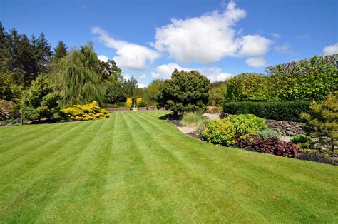 Contact Us Chris Complete Lawn Care Chris Complete Lawn Care