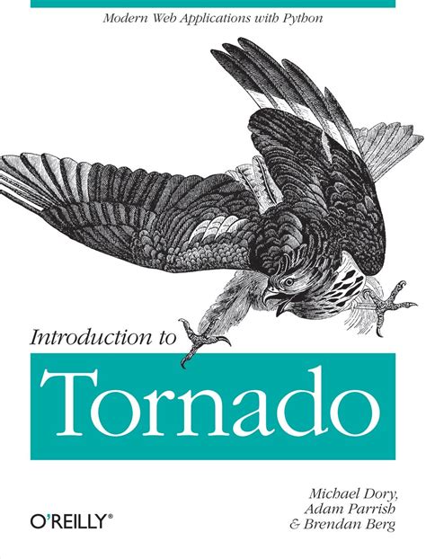 Tornado入门教程 Introduction To Tornado 中文翻译 脚本之家在线手册
