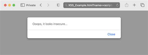 Xss Vulnerability In The Asp Net Application Examining Cve 2023 24322