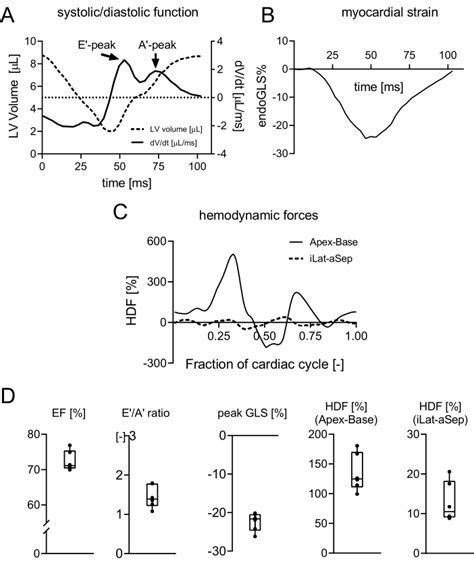 Quantification Of Mouse Heart Left Ventricular Function Myocardial Strain And Hemodynamic
