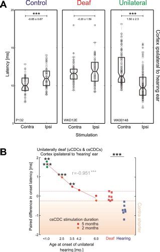 Results Of Mapping Are Similar As Shown In Fig 3 But At The Cortex Download Scientific