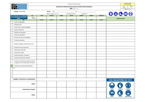 9 Revision Diaria De Epp Pdf