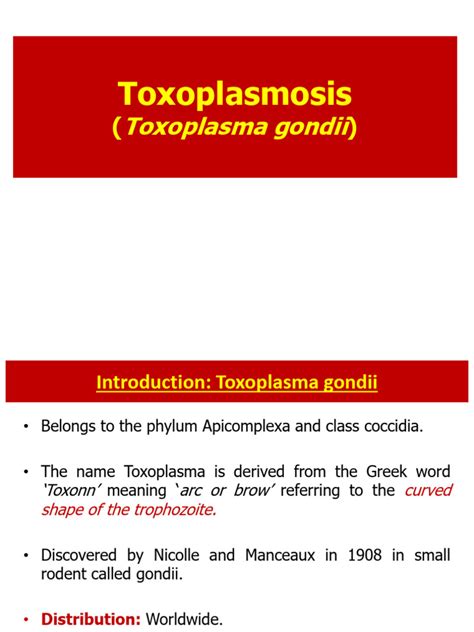 Toxoplasma Gondii Class 1 Pdf Microbiology Clinical Medicine