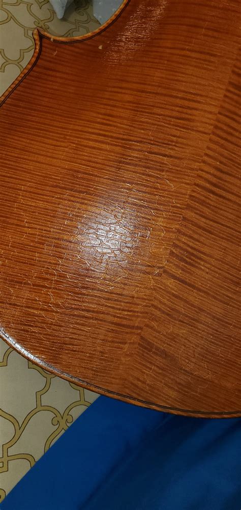 cracking crazing varnish what to do beginner asking the pegbox