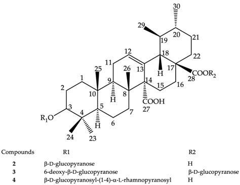 The Triterpenoid Glycosides Obtained From M Inermis Roots Download Scientific Diagram