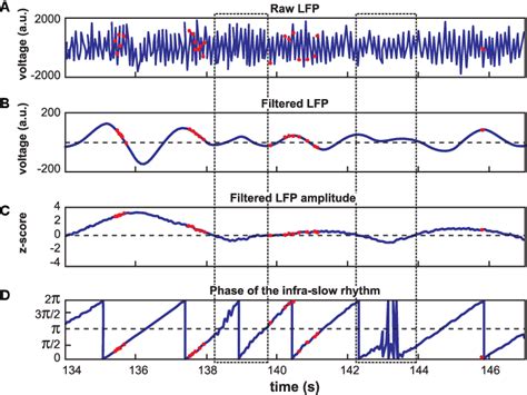 Figure 1 From Locus Coeruleus Noradrenergic Neurons Phase Lock To Prefrontal And Hippocampal