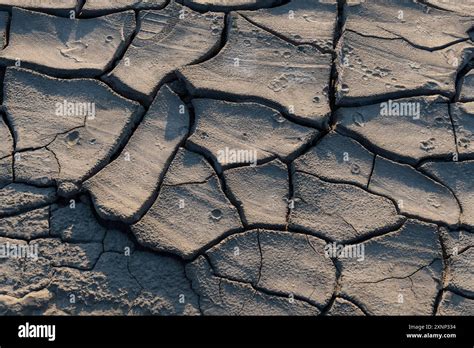 Dried Mud Texture Dried Mud Waves From The Mud Volcanos Site In Berca