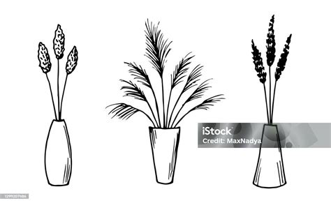검은 윤곽선으로 손으로 그린 간단한 벡터 드로잉 팜파 잔디 대지의 파니클 꽃 꽃병 가정 장식 보헤미안 스타일로 말린 꽃 억새