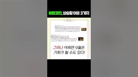 비트코인 이제 오를 일만 남았다 Youtube