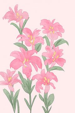 手绘水彩粉色百合花 植物花草 设计素材 设计模板 汇图网www huitu