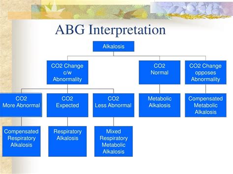 Ppt Abg Interpretation Powerpoint Presentation Free Download Id 9392761