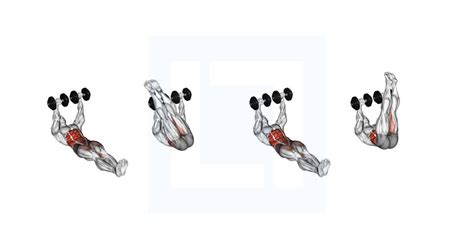 Frogger Guide Benefits And Form