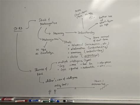 Theories Of Mind And Metacognition In Infants Learning