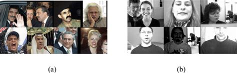 Sample Images From A Lfw And B Bioid Datasets Download