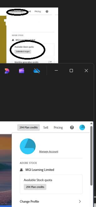 Solved Stock Credits Not Visible For Second Admin On Acco Adobe