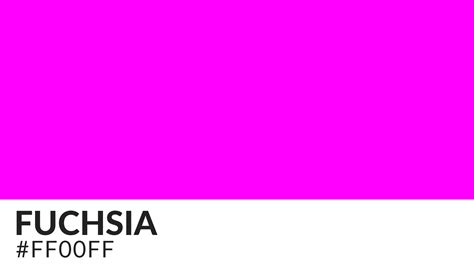 Fuchsia Color Meaning History And Common Applications Hipfonts