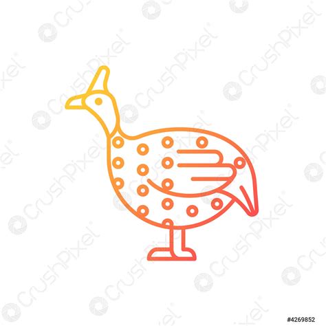 Guinea Fowl Gradient Linear Vector Icon Stock Vector 4269852 Crushpixel