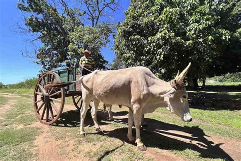 Sitios Imprescindibles De Ver En Un Primer Viaje A Paraguay