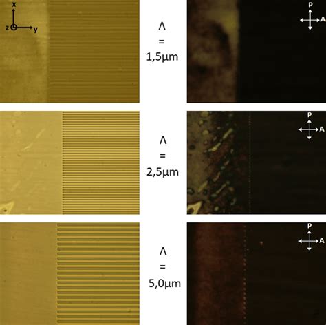 Optical Microscopy Observation × 50 Of Lc Impregnated Diffraction