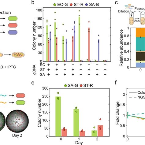 Cell Based Dna Sensors Can Detect Species Without Dna Extraction A Download Scientific Diagram