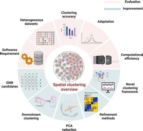 A Comprehensive Overview Of Graph Neural Network Based Approaches To Clustering For Spatial