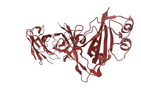 Boltz 2 Tool Can Predicts Binding Affinity In About 20 Seconds