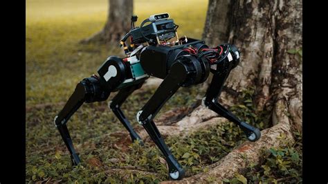 Dynamic Locomotion Of A Quadruped Robot With Active Spine Via Model