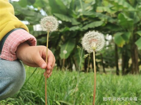 远嫁，都是爸爸妈妈在人间丢失的孩子 知乎