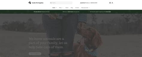 How To Use Avada Header Footer And Column Layout Builder