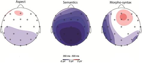 Scalp Topography Of Aspect Semantic And Morpho Syntactic Processing Download Scientific