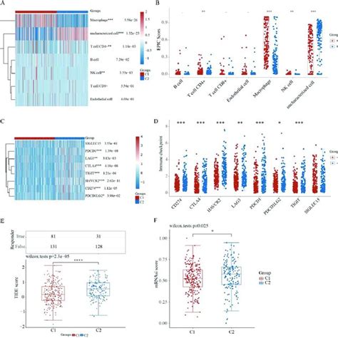 Validation Of Genes In P53 Signaling Pathway And Cell Cycle Associated