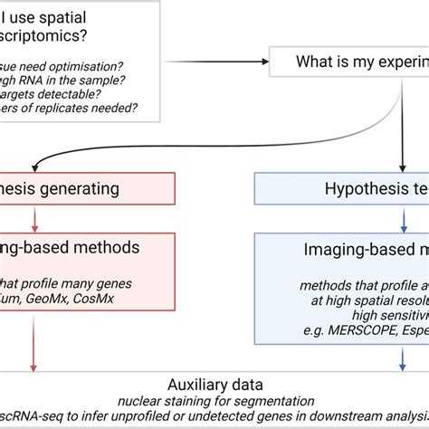 Pdf An Introduction To Spatial Transcriptomics For Biomedical Research