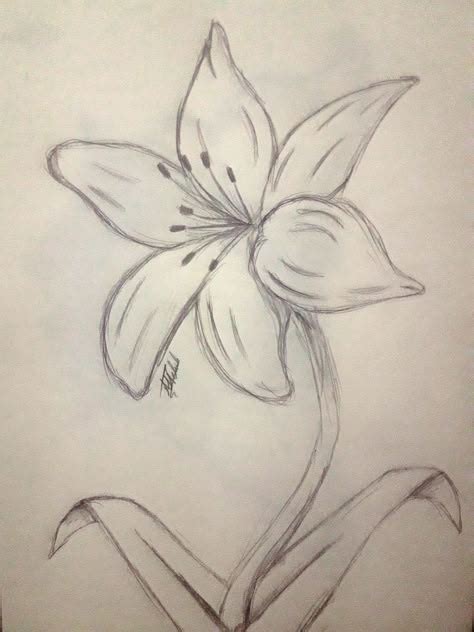 Dibujos Bonitos A Lapiz De Flores