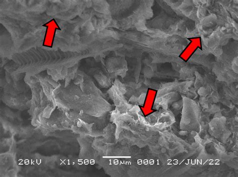 SEM Analysis From The Mud Sample Of Crewek Mud Volcano The Flaky Clay Download Scientific