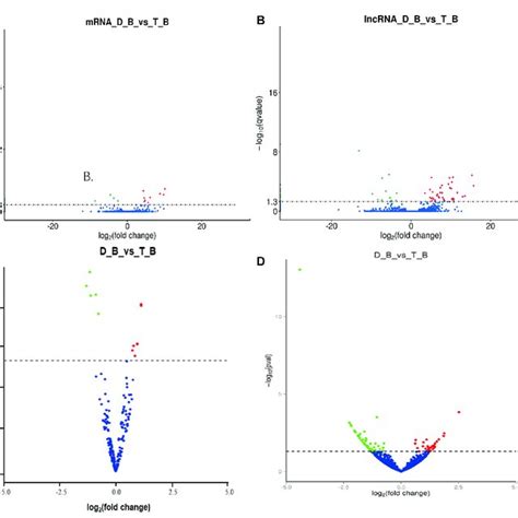 A Circrna Mirna Mrna Interaction Network Specifically Expressed In