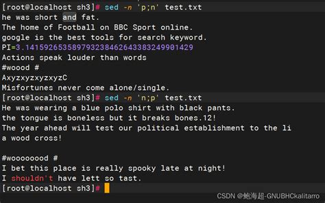 Linuxshell脚本基础使用5正则表达式 sed工具 天翼云 Linuxshell脚本基础使用5正则表达式 sed工具 天翼云